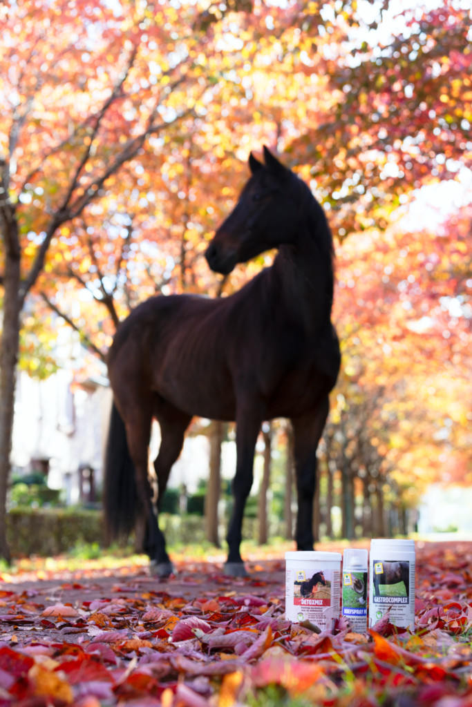 Vital Style | Den Braven EquiFood